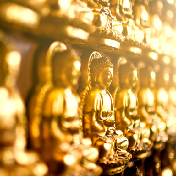 Prof Ravi Ravindra – Science and the Sacred – Scientific and Medical ...